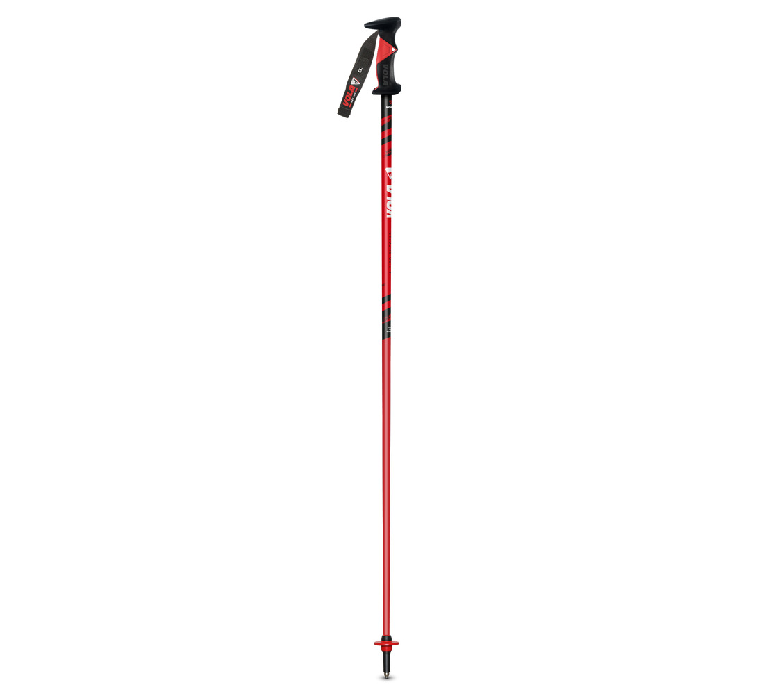 SL Alu Poles SENIOR – BIG M SNOW PLAN