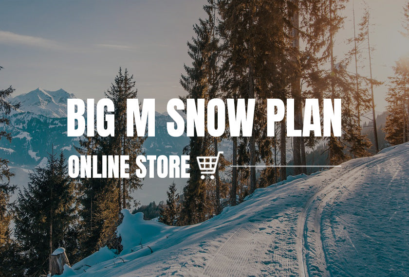 AJUSTABLE POLES – BIG M SNOW PLAN